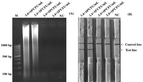 Limit Of Detection Lod For Detection Of Salmonella In Artificial