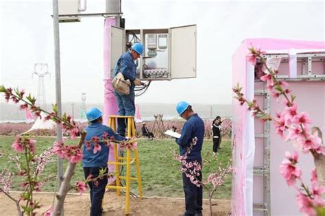 国网平凉供电公司护航桃花节 助力乡村游