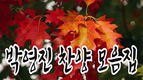 [박영진 찬양 모음집] 박영진 찬양사역자 찬양가수 찬양 찬송가 복음성가 가스펠송 Ccm Youtube