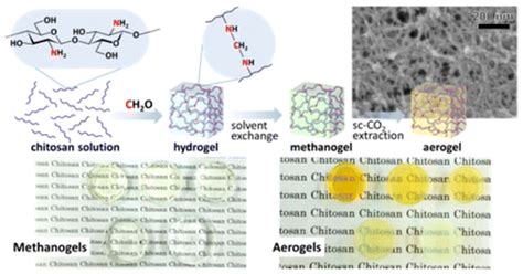 壳聚糖气凝胶：透明，灵活的绝热体 Chemistry Of Materials X Mol