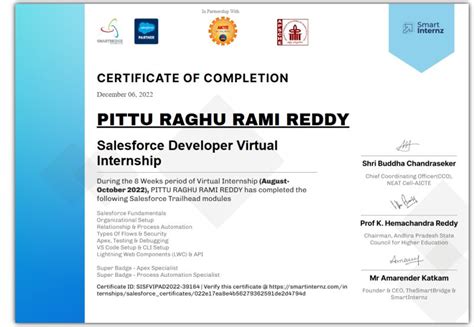 pittu raghu rami reddy on linkedin developer internship salesforce