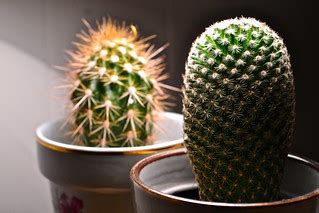 Untitled Lara Flickr