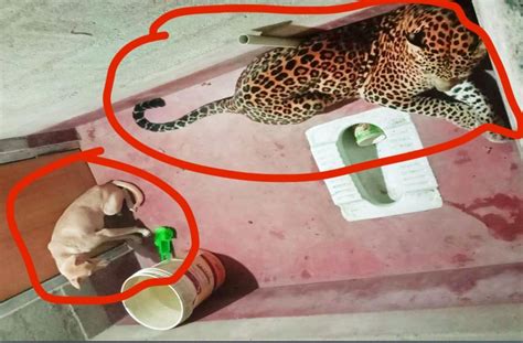 Sameer Mishra On Linkedin Fear Is An Amazing Emotion 12 Comments