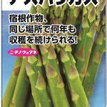 アスパラガス ニチノウのタネ オンラインショップ
