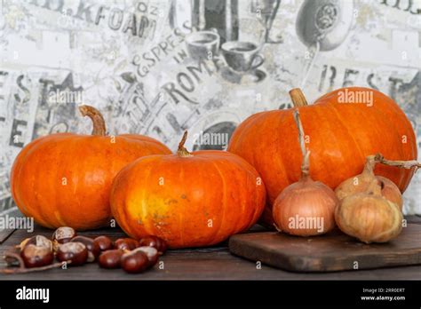 Pumpkin Fruits Are A Type Of Botanical Berry Known As A Pepo