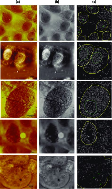 A Original Image Replica B Image After Color Plane Extraction