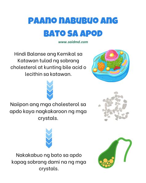 Mga Payo Ng Doktor Sa Taong May Bato Sa Apdo Said Md