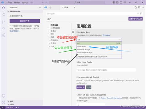 vs code详细安装配置教程 包含rust配置 vscode rust csdn博客