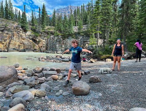 Exploring Jasper Part Preschoolers Grade School My Jasper Nanny