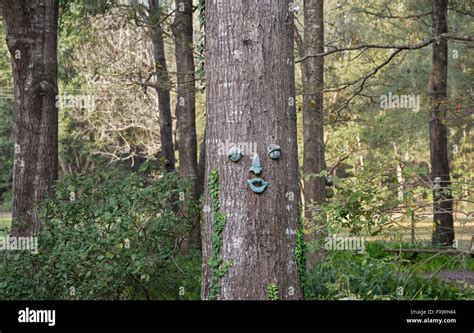 Humorous Face Attached To A Tree Stock Photo Alamy