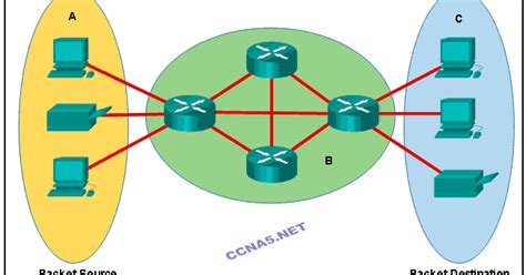 ccna exam answers ccna 1 rands introduction to networks chapter 1 quiz