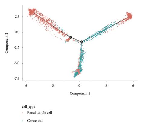 Cell Clustering And Trajectory Analysis Based On The Scrna Seq Data Download Scientific