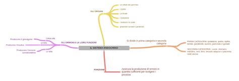 Il Sistema Endocrino Coggle Diagram