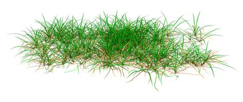 Patchfeld Bilder Durchsuchen 36980 Archivfotos Vektorgrafiken Und Videos Adobe Stock