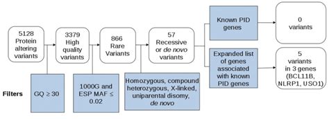 Figures1geneandvariantfilteringapproach Download Scientific