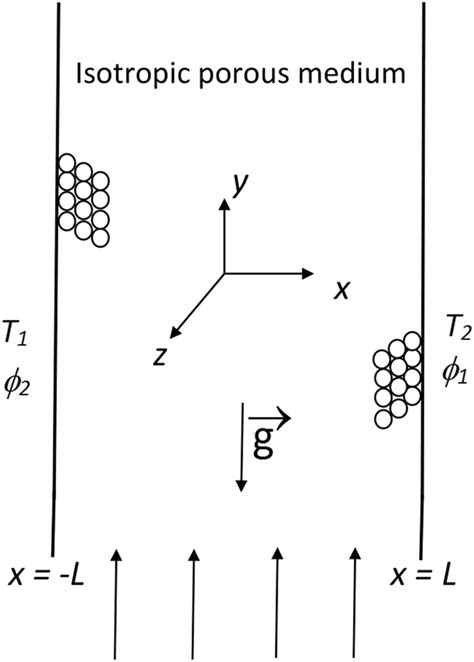 Schematic Representation Of The Problem Download Scientific Diagram