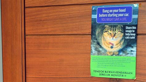 Oninyon Software Solution Oninyon Software Solution