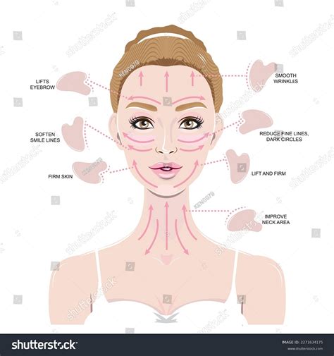 How Use Gua Sha On Face Stock Vector Royalty Free 2271634175