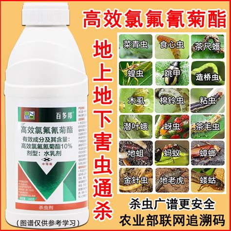 高效氯氟氰菊酯蛴螬地蛆蝼蛄金针虫蔬菜果树小麦专用药杀虫剂农药虎窝淘
