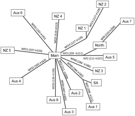 Under The Assumption That Multilocus Genotypes Mlgs More Interior In Download Scientific