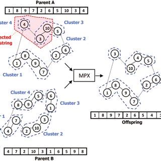 Illustration Of The MPX Operator Between Two Parents Download Scientific Diagram