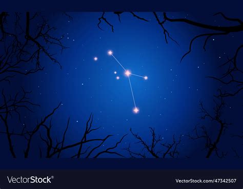 Scutum Constellation Tree Branches Starry Sky Vector Image