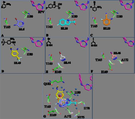 Nnrti Adjacent Site Panels A G Show Halo Library Fragments As