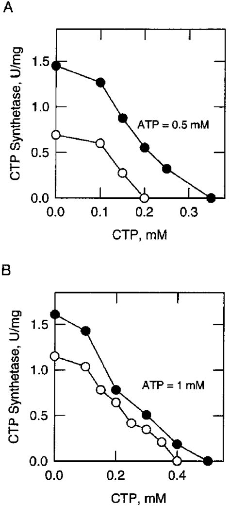 Effect Of Phosphorylation On The Inhibition Of Ctp Synthetase Activity