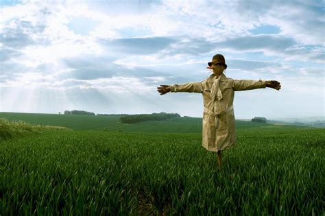 Why Have Crows Been Attacking People In Nottinghamshire Bbc News