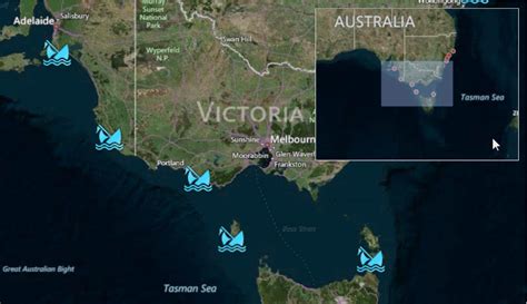 Mini Map Winforms Controls Devexpress Documentation