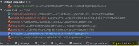 Create A Salesforce Project With Intellij Idea Illuminated Cloud And Github Salesforce