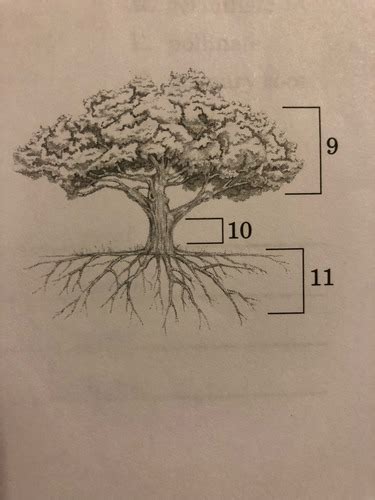 Sciecne Flashcards Quizlet