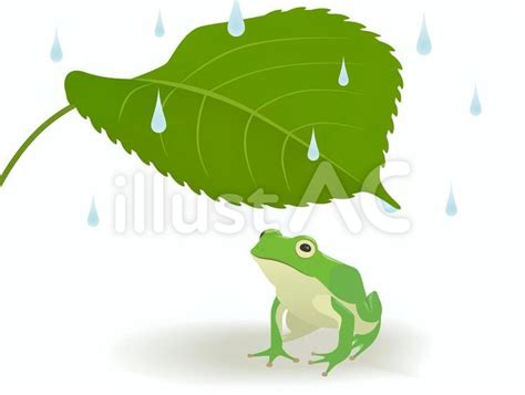 雨宿りするカエルイラスト No 22650319／無料イラストなら「イラストac」