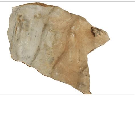 Solved Examine The Sedimentary Structure Shown In This 3 D