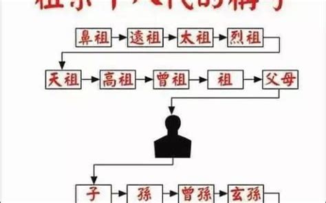 蝴蝶的寓意 蝴蝶的寓意和象征 华龙号