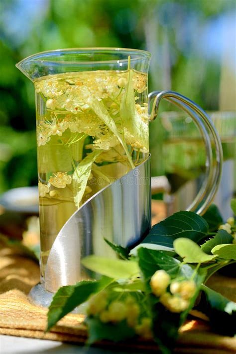 Linden tea stock photo. Image of healthy, green, blooming - 142449246