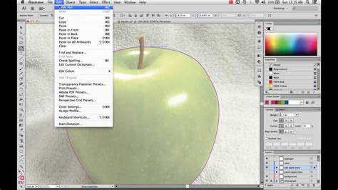 Adobe Illustrator CS Pen Tool YouTube