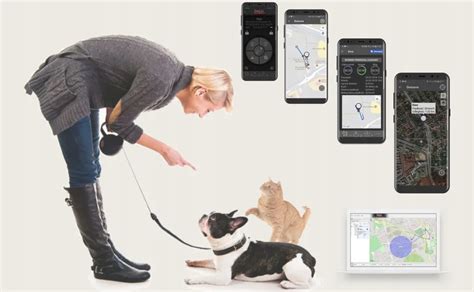 GPS-сервисы для животных: у нас и у них
