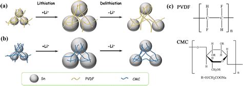 Schematic Representations Of Sn Binder Configurations For A Pvdf And B Download Scientific