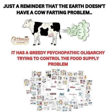 Crunchy Girl Kitchen