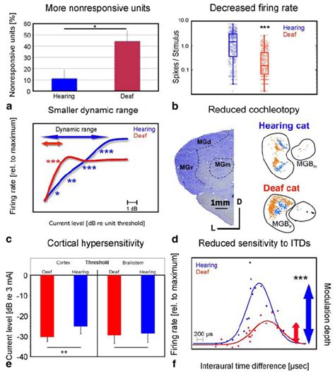 8 Auditory Sensitivity In The Auditory Cortex Primary Field A1