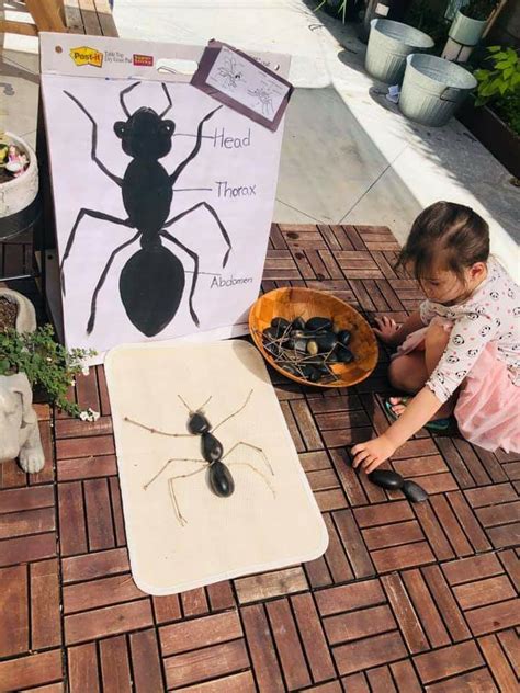 Pin By Liz L On Preschool Insects Preschool Art Activities