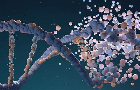 Ultimate Enzyme Spray Dead Scent