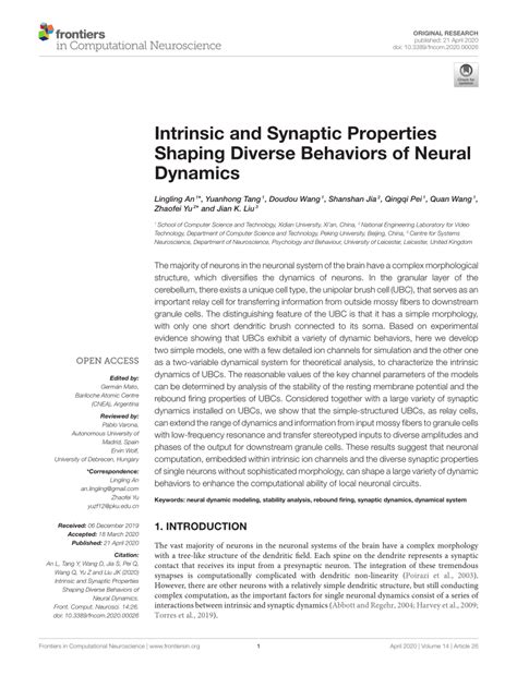 Pdf Intrinsic And Synaptic Properties Shaping Diverse Behaviors Of Neural Dynamics