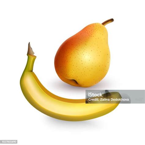 배와 바나나 흰색 배경 3d 그림에 사실적인 벡터 일러스트 레이 션 0명에 대한 스톡 벡터 아트 및 기타 이미지 0명 3차원 형태 가을 Istock