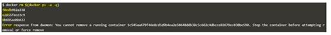Docker Rm Working And Examples Of Docker Rm With Rules And Regulations