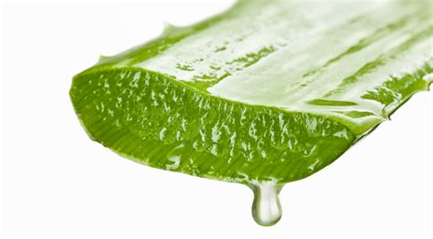Best Organic And Herbal Skin Care Products Shinso Skin Care Italy