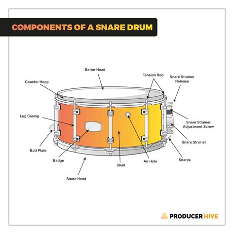 From Head To Wire The Anatomy Of A Snare Drum Illustrated