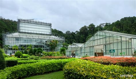 Readme Me รีวิว สวนพฤกษศาสตร์ เชียงใหม่ Queen Sirikit Botanic Garden