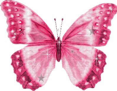 Pink Butterfly  Papillon Pink Free Animated  Picmix